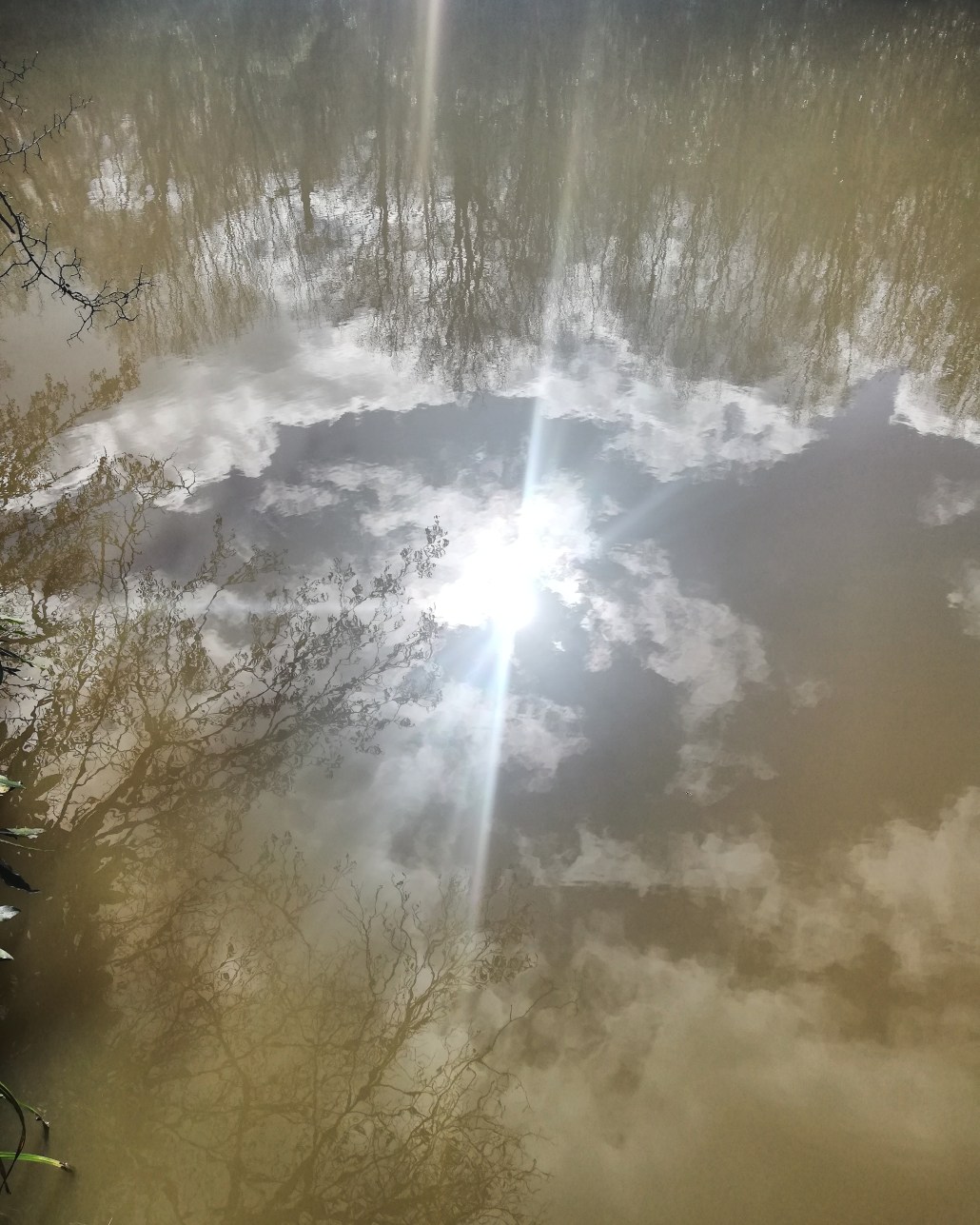 A regular blogpost – Emily Gopaul